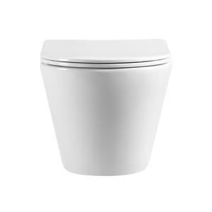 Toilet Category | Best Kitchen & Bath Fittings Supplier - RUBINE